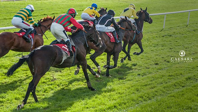 Caesars Racebook launches on Android and desktop