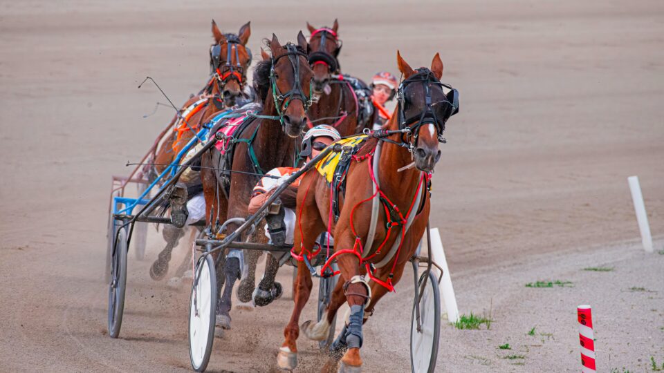 Illinois Suspends Hawthorne Harness License Over 'Financial Difficulties'
