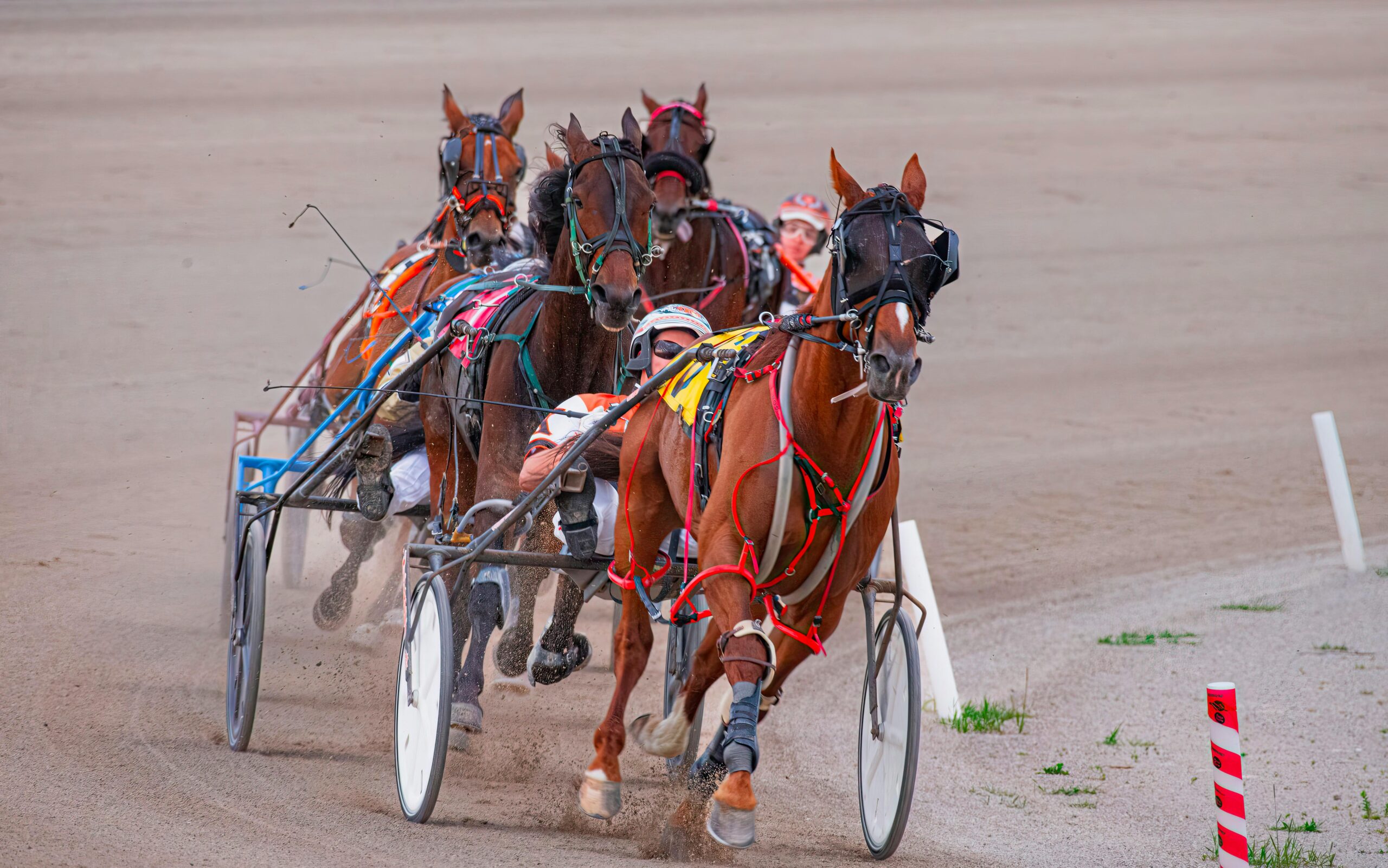 Illinois Suspends Hawthorne Harness License Over 'Financial Difficulties'