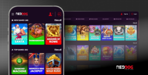 Red Dog Casino Bonus Codes for 2026 – Red Dog Casino Review